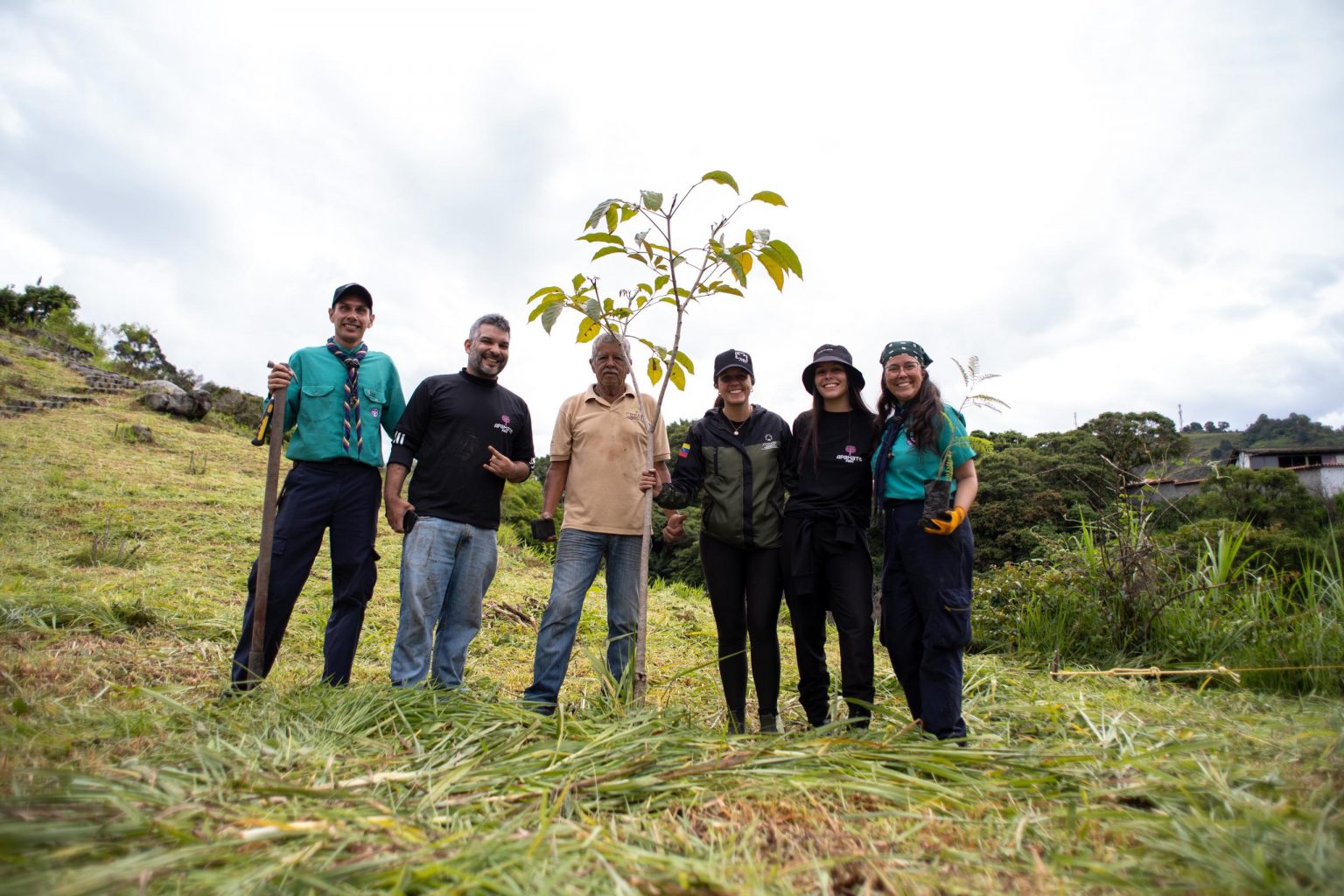 Con la plantación de 130 árboles comenzaron las actividades de ...